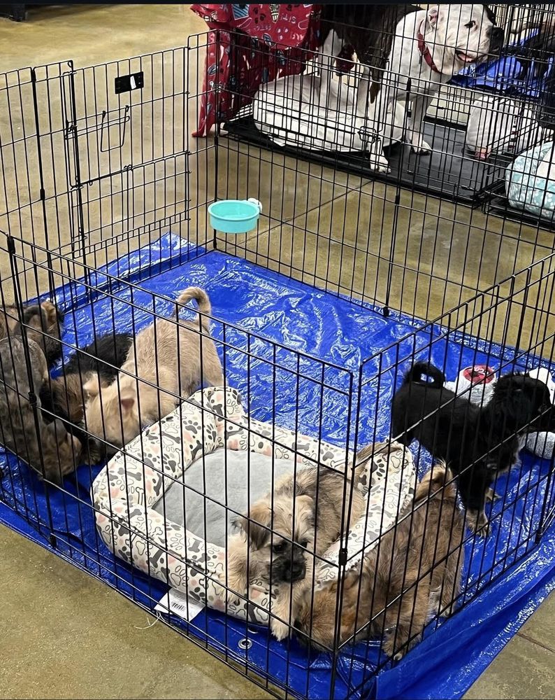 PAW MISSION - Updated May 2026 - 13 Photos - 13229 7th Pl, Yucaipa ...