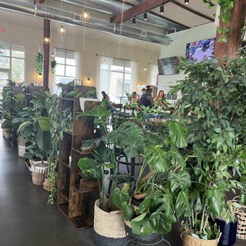 BEVRIDGE PUBLIC - Updated April 2025 - 143 Photos & 133 Reviews - 4315 ...