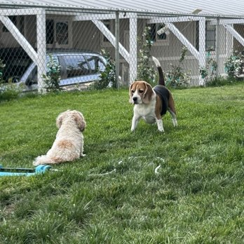 DIRK BUTCHKO PRO VET - Updated July 2025 - 165 Photos & 360 Reviews ...