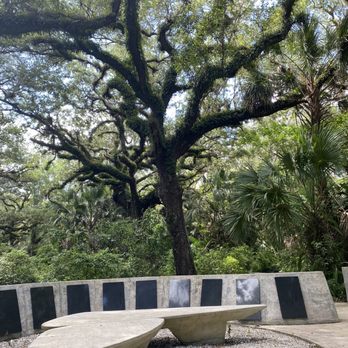 LONG KEY NATURAL AREA & NATURE CENTER - Updated August 2025 - 314 ...