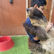 OAK MEADOW RANCH FEATURING THE WHITEHORSE STEAKHOUSE - 295 Photos & 88 ...