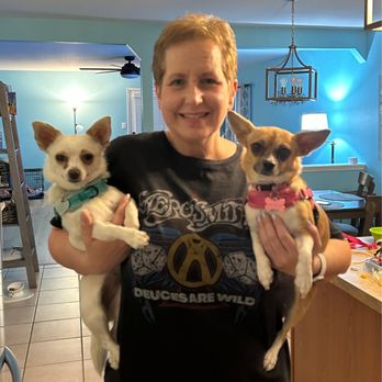 DOUBLE D DOG TRAINING - Updated January 2026 - 62 Photos & 11 Reviews ...