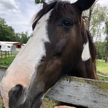 NATURAL VALLEY RANCH - Updated November 2025 - 40 Photos & 21 Reviews ...