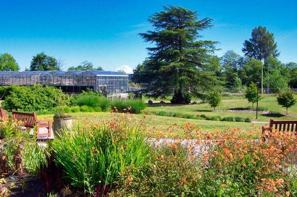 CENTER FOR URBAN HORTICULTURE - Updated May 2025 - 43 Photos & 16 ...