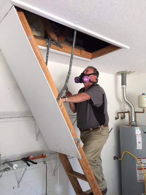 BEACHSIDE TERMITE AND PEST CONTROL - Updated June 2025 - 16 Photos & 15 ...