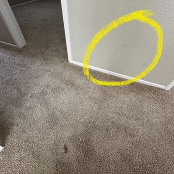 HOMESHIELD PEST CONTROL - Updated July 2025 - 229 Photos & 1179 Reviews ...