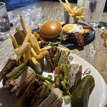 ATLANTIS PURPLE PARROT - Updated February 2025 - 468 Photos & 296 ...