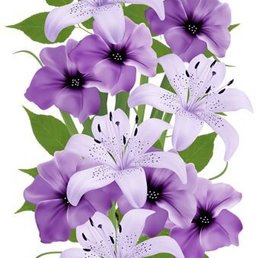 LA FORCHETTA DA MASSI - Updated July 2025 - 150 Photos & 260 Reviews ...