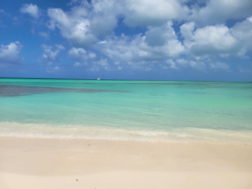 ISLA DE PASION - Updated May 2024 - 24 Photos & 19 Reviews - Carretera ...