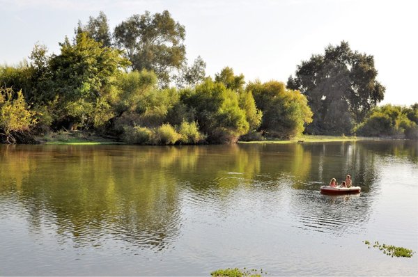 KINGS RIVER RV RESORT - 46 Photos & 25 Reviews - 39700 Rd 28, Kingsburg ...