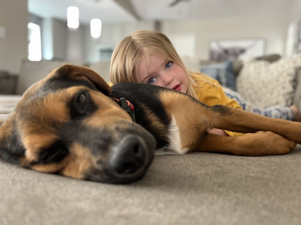 ADOPT A FRIEND FOREVER RESCUE - Updated January 2026 - 16 Reviews - El ...