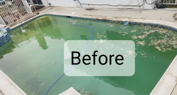 SMITTY’S POOL CARE - Updated April 2025 - 44 Photos & 102 Reviews ...