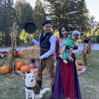 PATCHEN PUMPKIN PATCH - TEMP. CLOSED - Updated April 2025 - 106 Photos ...