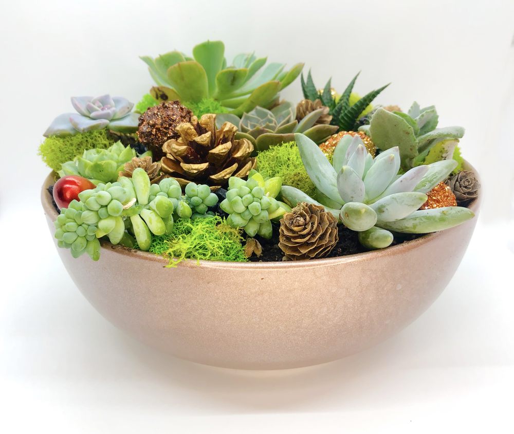 FAT LEAF DELIVERY - 13 Photos - 612 Catumet Dr, Pflugerville, Texas ...