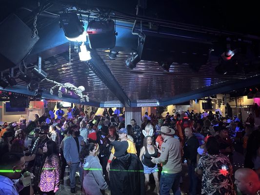 CROCODILES NIGHTCLUB - Updated March 2025 - 51 Photos & 137 Reviews ...