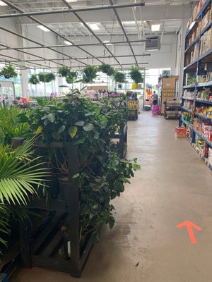 RONA HOME & GARDEN - Updated July 2024 - 12 Photos & 12 Reviews - 2665 ...