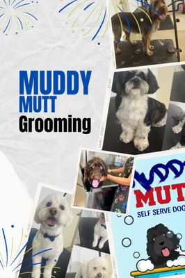 MUDDY MUTT - Updated December 2025 - 18 Photos - 1296 Main St, Windsor, Colorado - Pet Groomers ...