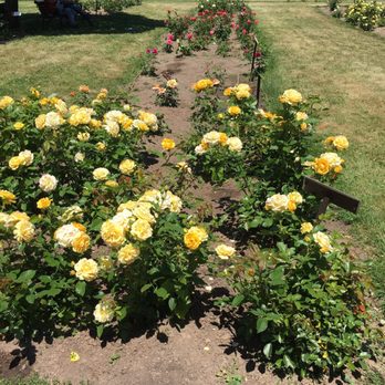 MAPLEWOOD ROSE GARDEN - Updated October 2025 - 109 Photos & 11 Reviews ...