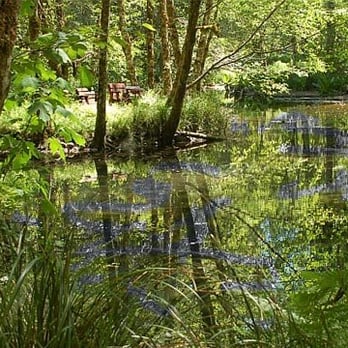 HOLIDAY FARM RV RESORT - Updated September 2025 - 54432 McKenzie Hwy ...