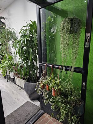 THE STANDARD DESIGN GROUP NURSERIES - Updated July 2025 - 238 Photos ...