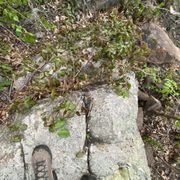 BEAVER BROOK RESERVATION - 59 Photos & 46 Reviews - Landmarks ...