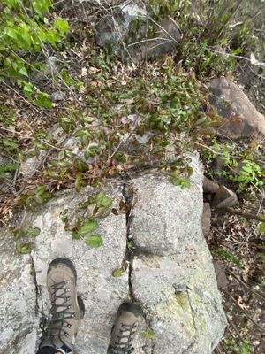 BEAVER BROOK RESERVATION - Updated December 2025 - 59 Photos & 47 ...