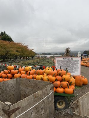 SPOONER FARMS - Updated December 2025 - 149 Photos & 99 Reviews - 9710 ...