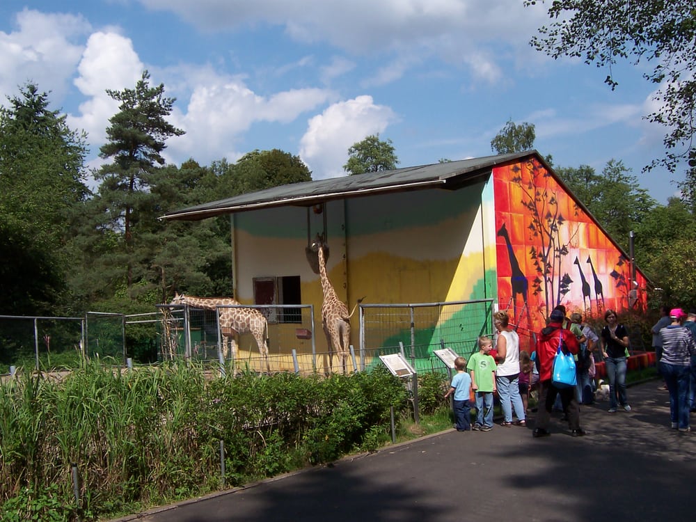 NEUNKIRCHER ZOO - Updated July 2024 - 10 Photos - Zoostr. 25 ...