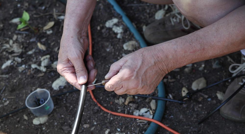 KF SERVICES - Updated April 2026 - 13 Photos - Fruita, Colorado - Lawn ...