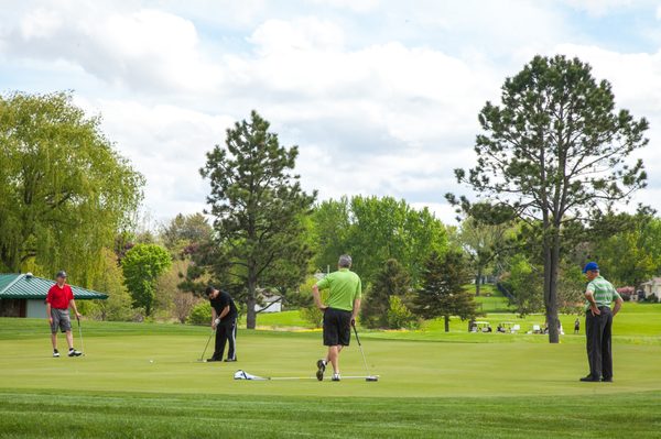 INGERSOLL GOLF COURSE - 12 Photos - Golf - 101 Daiseyfield Rd, Rockford ...