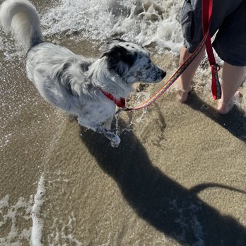 CARDIFF STATE BEACH - Updated December 2025 - 283 Photos & 121 Reviews ...
