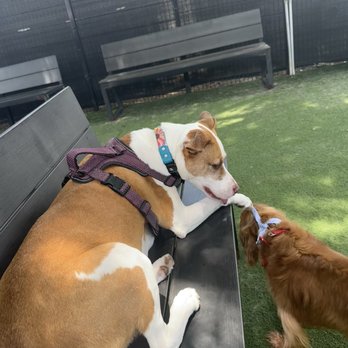 SKIPTOWN - Updated December 2025 - 201 Photos & 115 Reviews - 222 ...