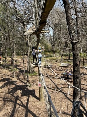 TRINITY FOREST ADVENTURE PARK - Updated June 2026 - 157 Photos & 84 ...