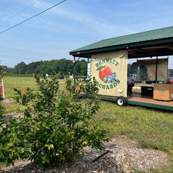 BENNETT ORCHARDS - Updated January 2026 - 26 Photos & 15 Reviews ...