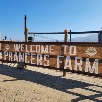 PRANCERS FARM - Updated August 2025 - 148 Photos & 46 Reviews - 18540 E ...