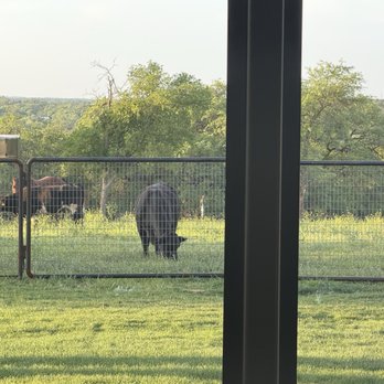 WHISKEY RIDGE - Updated May 2025 - 152 Photos & 62 Reviews - 8750 W RR ...