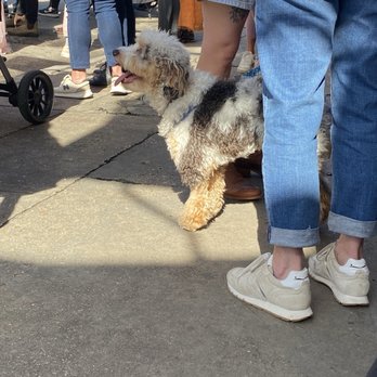 BARKUS PARADE - Updated October 2025 - 149 Photos & 21 Reviews - New ...