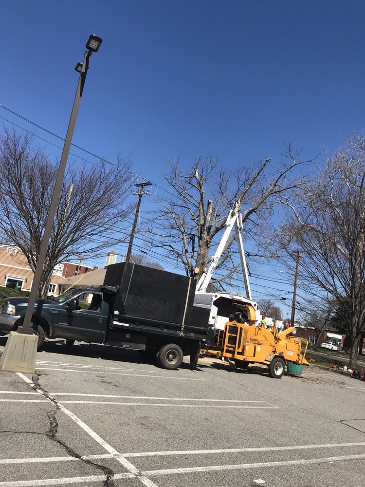 BOGAN’S TREE SERVICE - Updated October 2025 - Milford, Connecticut ...