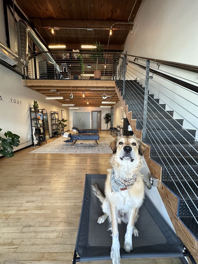 HOUSE OF MOTION CHIROPRACTIC - Updated October 2025 - 3316 Tejon St ...