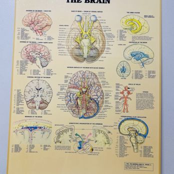 MARTIN J BACKMAN, MD - Updated December 2025 - 15 Photos & 78 Reviews ...