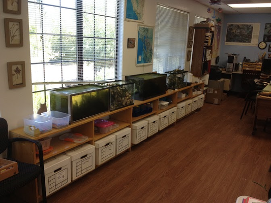 TULE PONDS AT TYSON LAGOON WETLAND CENTER - Updated October 2025 - 29 ...