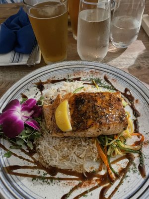 COCO WOOD GRILL - 90 Photos & 105 Reviews - 17814 Gulf Blvd, Redington ...