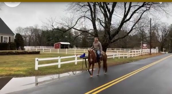 THE STRAIN FAMILY HORSE FARM - Updated January 2026 - 30 Sakrison Rd ...