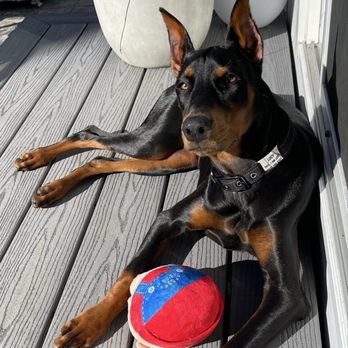 DR. BUTCHKO - Updated October 2025 - 52 Photos & 94 Reviews - 5448 ...