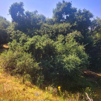 WILACRE PARK - Updated December 2025 - 446 Photos & 177 Reviews - 3431 ...