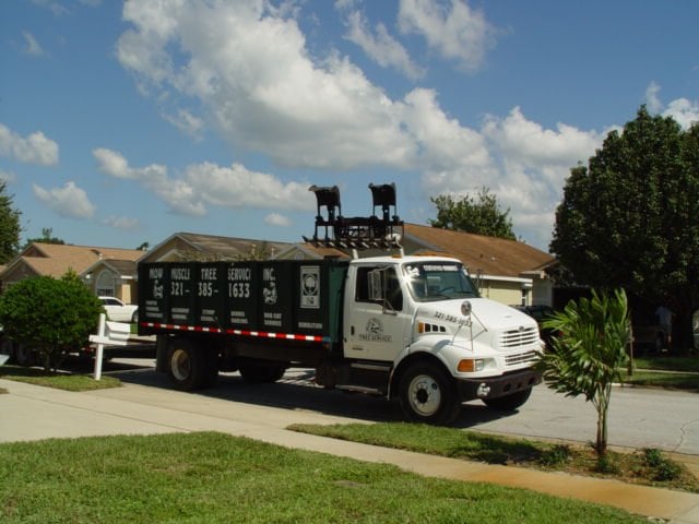 MOW MUSCLE TREE SERVICE - Updated March 2025 - 4770 Pine Needle St ...