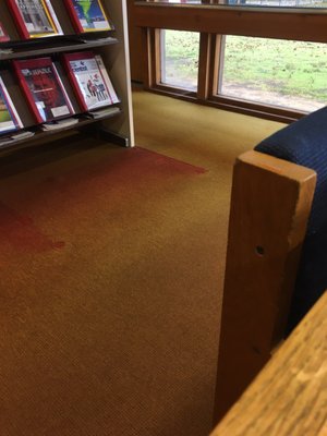 PETALUMA REGIONAL LIBRARY - Updated November 2025 - 10 Photos & 22 ...