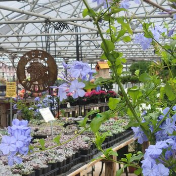 BOBO’S NURSERY & FLORIST - Updated December 2025 - 13 Photos & 11 ...