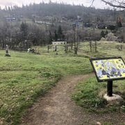 MOSIER CREEK FALLS - 33 Photos - 207 3rd Ave, Mosier, Oregon - Hiking ...