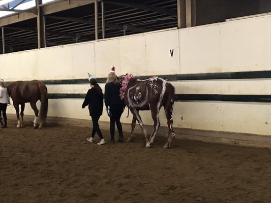 SUMMIT RANCH EQUINE CENTER - 63 Photos & 13 Reviews - 100 Summit Ranch ...